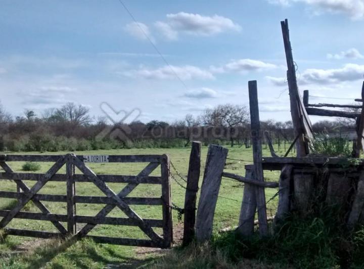 386 Has Zona Macia Ruta 6 - Maciá - Entre Ríos, Entre Ríos - Zonaprop