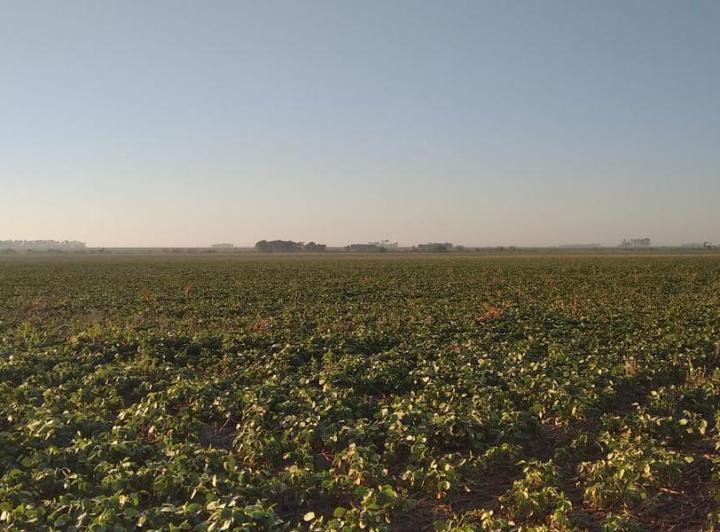 Campo en Clason - Agricola, Santa Fe - Zonaprop