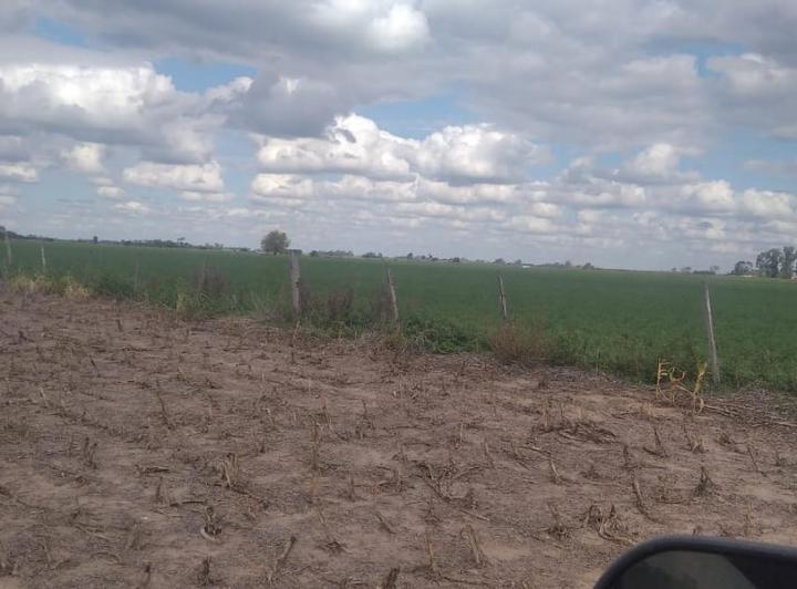 Campo en Clason, Santa Fe - Zonaprop