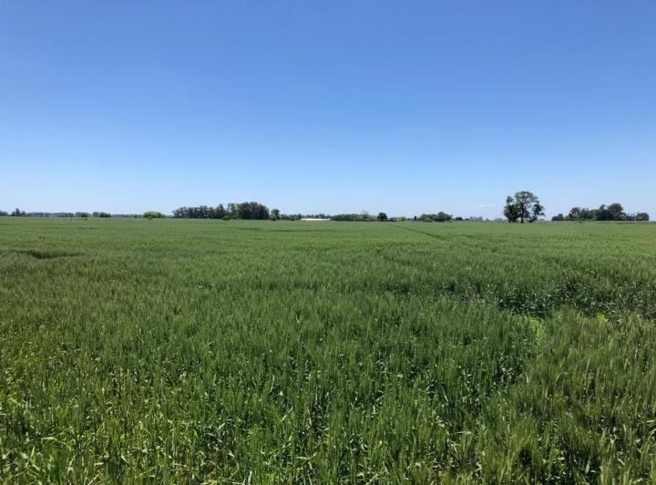 96 Has a m de Ruta 7, Buenos Aires (Fuera de Gba) - Zonaprop