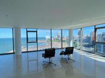 Departamentos en alquiler en Mar del Plata - Zonaprop