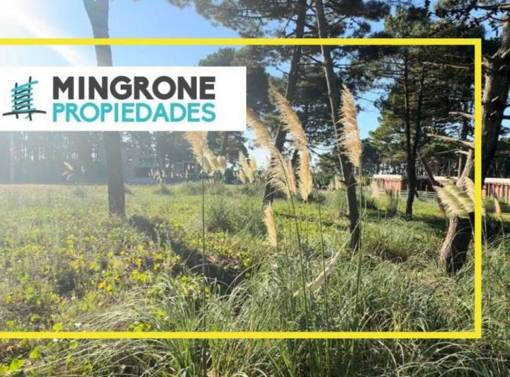 Cod 481 – Pioneros 265 Lote 12, Buenos Aires Costa Atlántica - Zonaprop