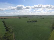 Campo en Victoria, Entre Ríos - Zonaprop