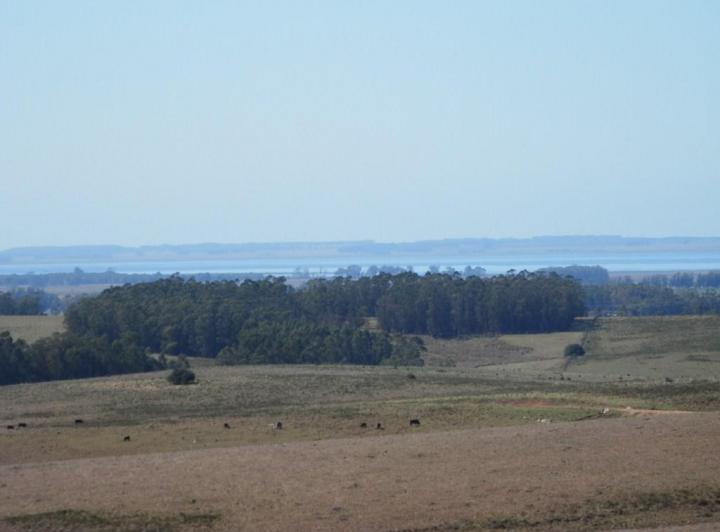 Garzon Estancia Unica 880ha a Minutos del Pueblo, Otros Paises - Zonaprop