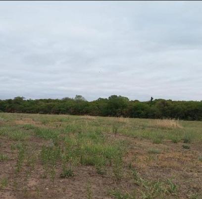 Villa Retiro. El Gateado. 10.000 m² (1 Hectarea) Luz Agua y Escritura ...