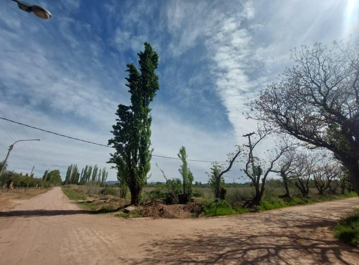 Venta de Lote Cuadro Benegas, San Rafael, Mendoza - Zonaprop