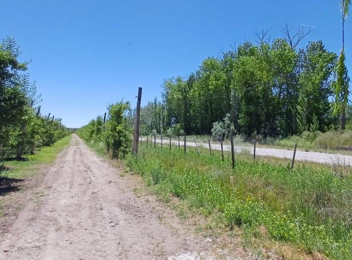 Casa en Allen, Rio Negro - Zonaprop