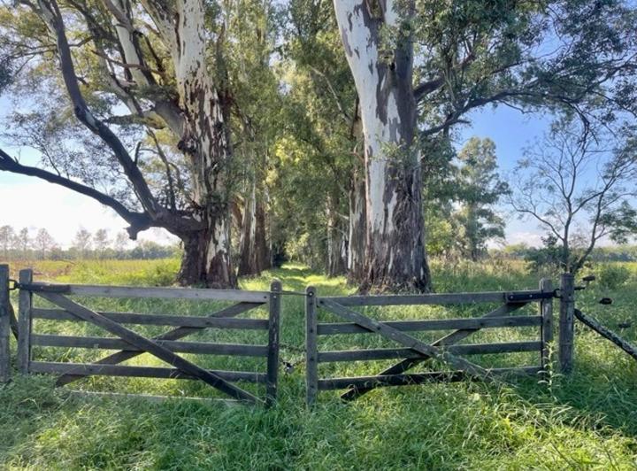 14 Has en Venta en Ruta 6 - Open Door - Partido de Lujan, Gba Oeste ...