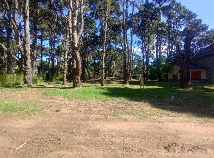 Lote en Costa del Este - 480 m² Barrio "La Reserva" - Los Cedros y ...