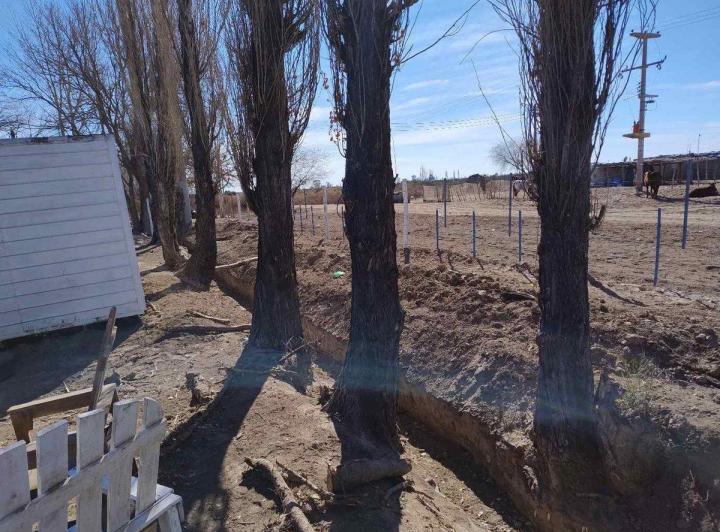 Finca Nivelada. Cochagual Sur. Sarmiento, San Juan - Zonaprop