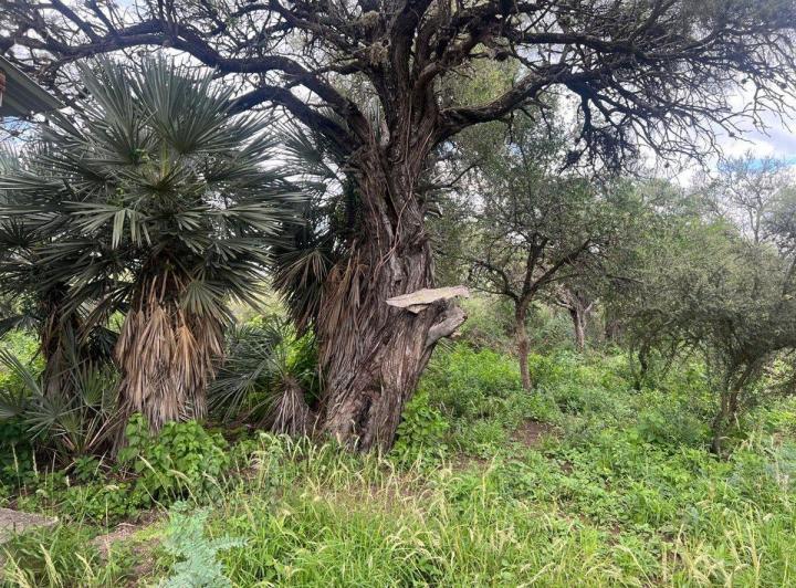 Venta Lote Charbonier 42 Has Desarrollo Turistico, Córdoba - Zonaprop