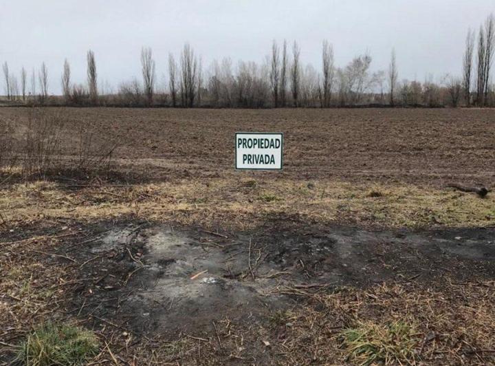 Venta Chacra en Rio Colorado, Río Negro - Zonaprop