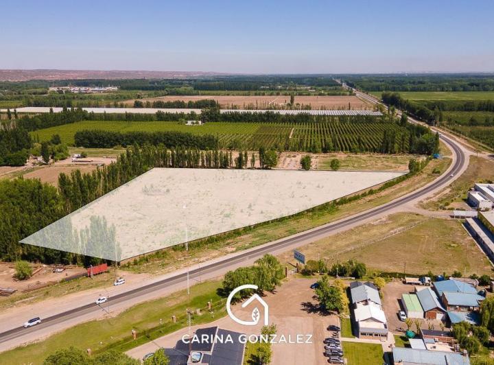Venta 3 Has - Sobre Ruta 22 - Allen - Rio Negro, Río Negro - Zonaprop