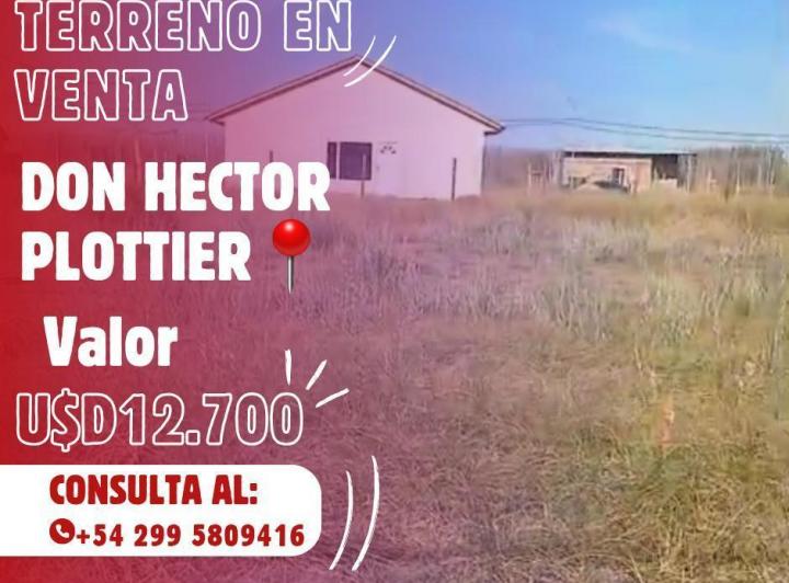 Terreno en Venta Don Héctor, Neuquén - Zonaprop