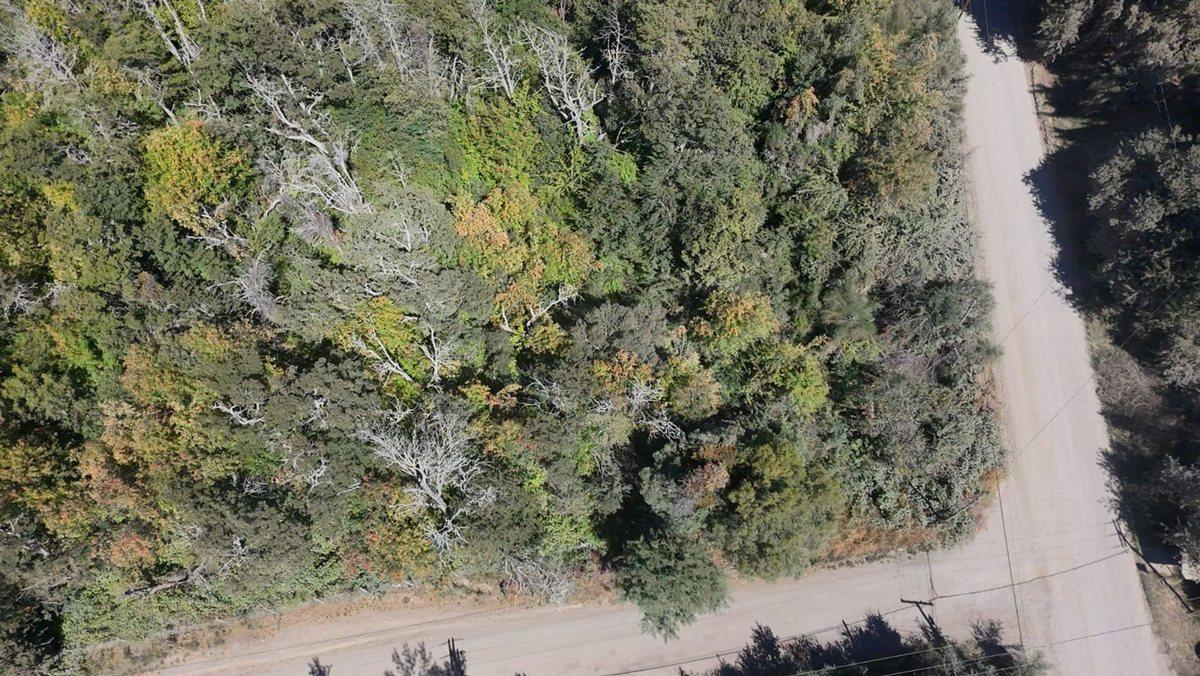 Lote en PH Pensinsula San Pedro, Río Negro - Zonaprop