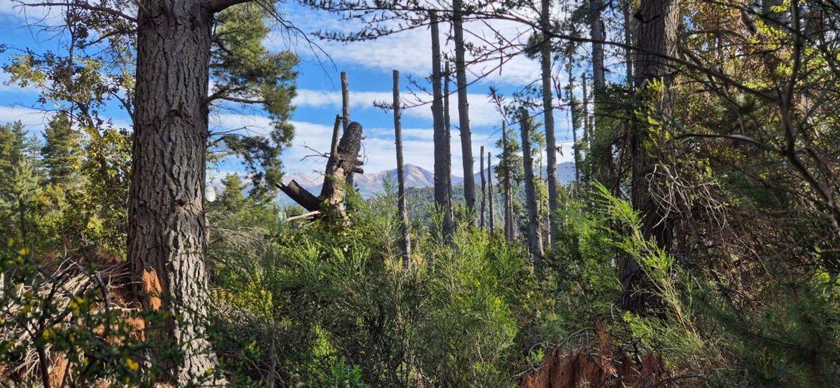 Venta de Lote Av Campanario Peninsula, Bariloche, Río Negro - Zonaprop