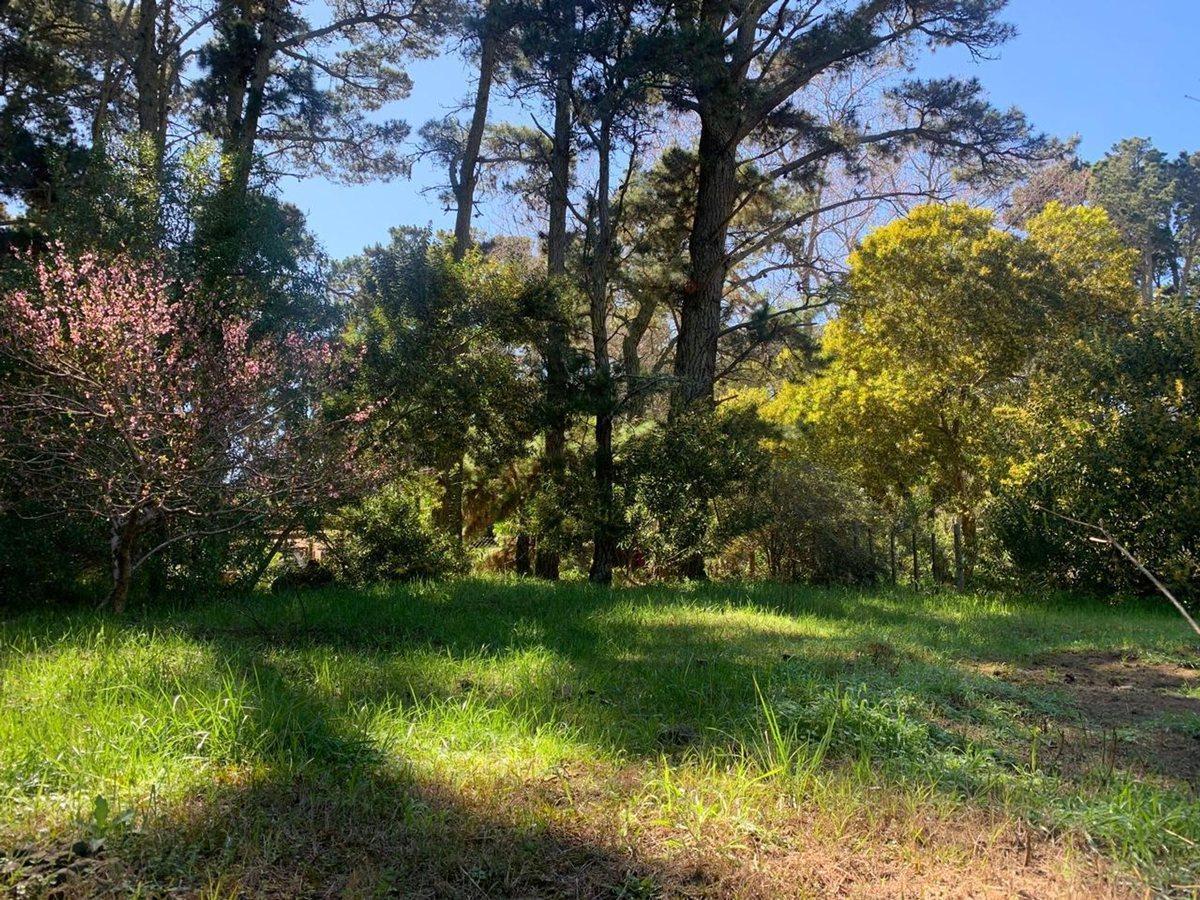 Lote en Venta en Mar Azul, Buenos Aires Costa Atlántica - Zonaprop